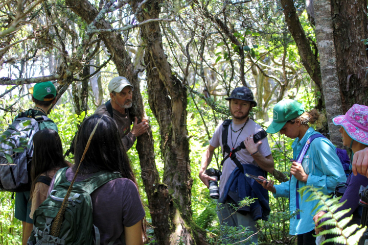 Malama Wao Akua celebrates 20 years of art with a focus on Maui’s ...